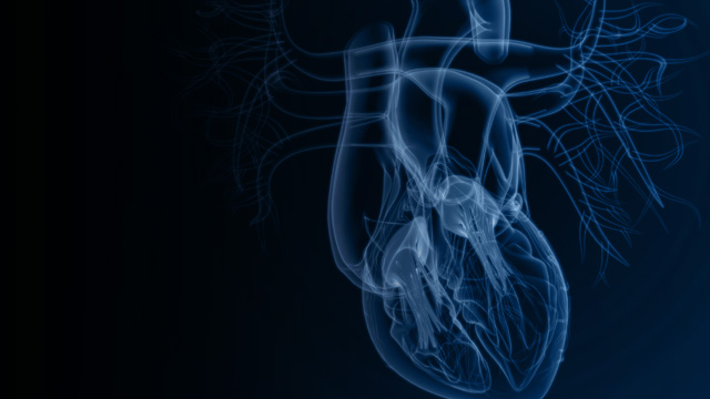 Structural | Mitral Valve Disease